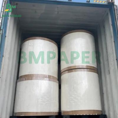 China 190gsm + 15g PE P1S Cup Paper Gloss For Coffee Shop Waterproof 720mm 880mm for sale