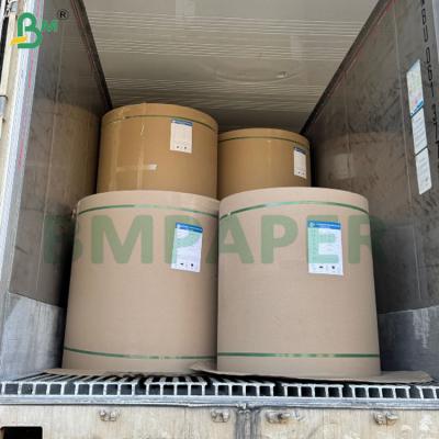 China White And Unbleached Coffee Filter Paper Roll And Sheet 50gsm for sale