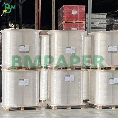 China Food Safe Water Resistant Biodegradable Straw Paper for Drinking for sale