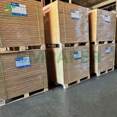 China Unbleached Natural Brown Coffee Filter Paper Biodegradable High Temperature for sale