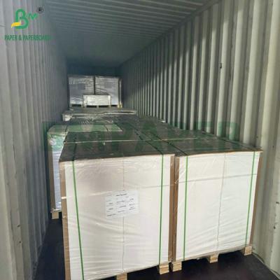 China Food Grade 250Gram 737mm Waterproof Cupstock 1 PE Paper for Cups for sale