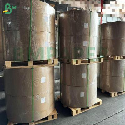 China Degradable Waterproof Mango Fruit Protection Bag 56g Sunproof Coated Wax Paper Roll for sale
