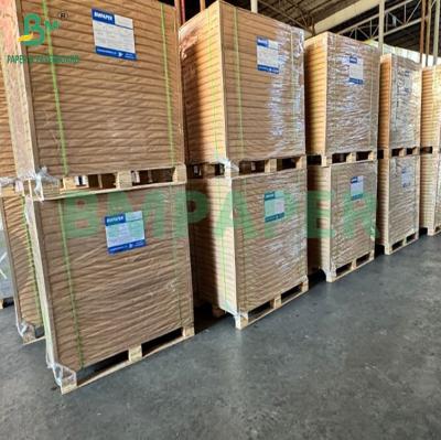 China 210gsm 215gsm Food Grade  Coated Ivory Paper For Packing French Fries for sale