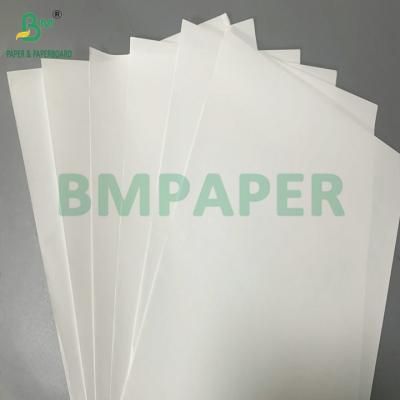 China 55gsm 70gsm  54mm x 21.25