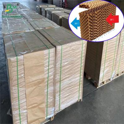 China 95gsm 110gsm Highly Water Absorption Cooling Pad Kraft Paper For Greenhouse Using 31 x 43inch for sale