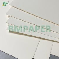 China 240gsm + 20gsm Biodegradable PLA Coated Cup Base paper in roll for sale