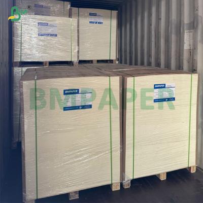 China 240gsm + 20gsm Biodegradable PLA Coated Cup Base paper in roll for sale