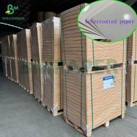 China 300gsm 350gsm Food Grade White Infercoated Paper For Lunch Box  70 x 100cm for sale