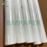 China High Temperature Resistant 38gsm White Ovens Baking Paper Roll 15 in X 30 ft for sale