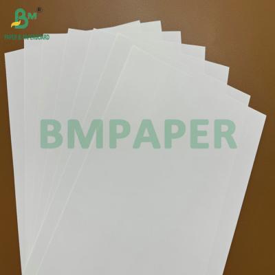 China High Performance Matt Wet Rub Resistant 75gsm 80gsm Label Paper for Chilled Beverages for sale