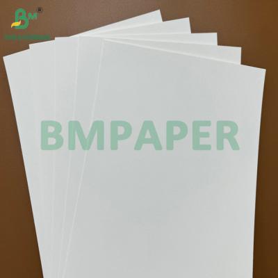 China 200gsm Eco-Friendly Raw Absorbent Coaster Base Paper Blotting Paper for Beer Mat & Cup Mat Manufacturing for sale