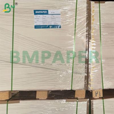 China 195gsm+15gsm PE Coated Cup Stock Paper Sheets for Making Cups for sale