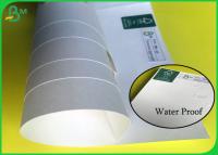 China Food Grade PE Coated Paper Waterproof 160g 200g 250g 300g For Muffin Cup for sale