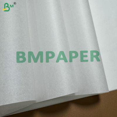 China Lightweight Greaseproof 60gsm Baking Cup Base Paper Heatproof to 220°C for Cupcake/Muffin Liner Production for sale