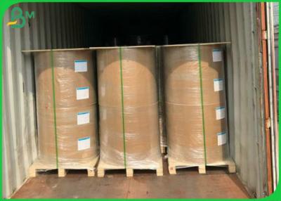 China One Side White Duplex Board Roll Custom Size 230GSM 250GSM 300GSM Good Stiffness for sale