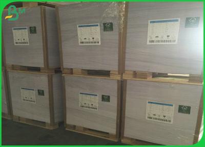 China SBS / FBB Board 250gsm 300gsm 350gsm 400gsm High Stiffness Free Sample Available for sale