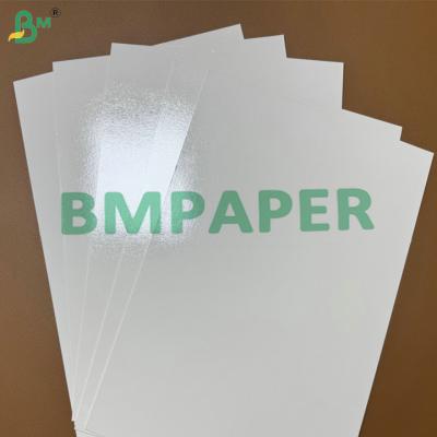 China 150-350GSM Single/Double Side Polyethylene Food Grade Cup Stock Paper for Hot & Cold Drink Paper Cups for sale