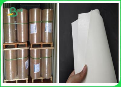 China 300gsm Ivory Board + 15g PE Coated Paper With For Making Lunch Box for sale