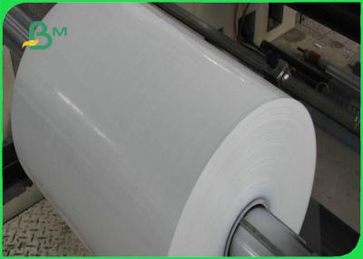 China 300gsm White PE Coated Ivory Board For Making Food Box 50 * 70cm for sale