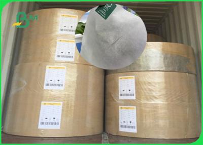 China 28gsm Heatable With PE - Coated Greaseproof White Kraft Paper For Food Baking for sale