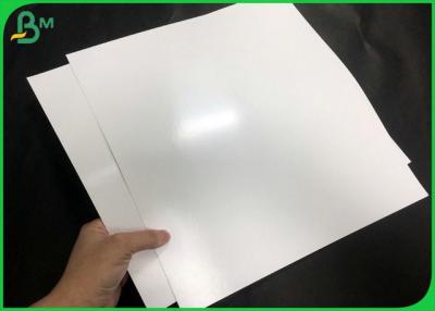 China 336.3*301.1mm Single Coated PE Lunch Box Paper With FDA Certification for sale