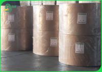 China FDA Direct Food Compliant PE Coated White Kraft Paper For Fast Food Packaging for sale