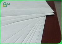 China 0.2mm Thickness Tyvek Dupont Paper White Waterproof For Bag Materials for sale