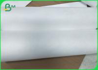 China Whitemess No Spot 75gsm 0.205mm 1073D Dupont Paper Dustproof & Light Weight for sale