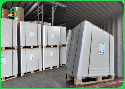 China Food Grade 135gsm White Bleached Kraft Paper Wrapping Rolls & Sheet for sale