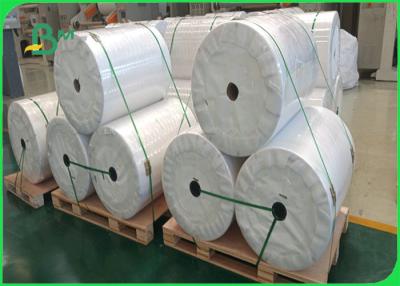 China 80um 120um Matte PP Waterproof Paper For Label 24'' x 30m Instant Dry for sale