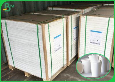 China 230gsm FDA Approved Paper Cup Board 70 * 100cm In Pub Office Cafeteria for sale