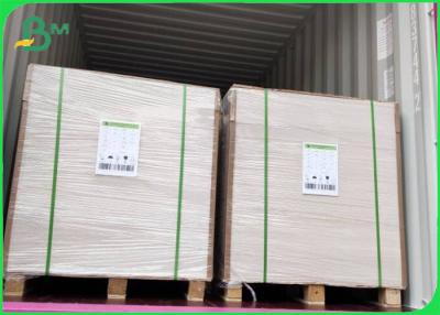 China Virgin Pulp Coated FBB Ivory Board 305g / 345g Offset Printing for sale