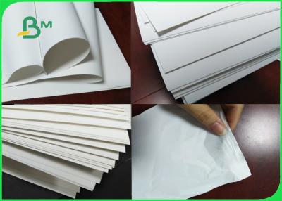 China Tree Free 230um Double Coated Waterproof Synthetic Paper White for sale