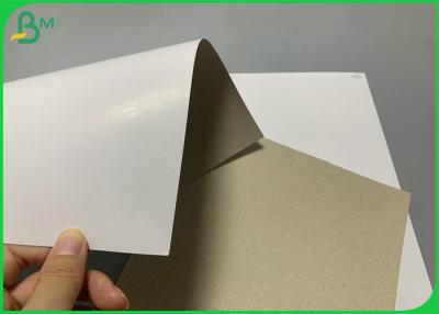 China Glossy Coated White Top 400g Duplex Grey Back Board For T-shirt Packing for sale