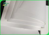 China Tree - Free Paper One Side Thermal Coated Synthetic Paper Petroleum - Based Resins for sale