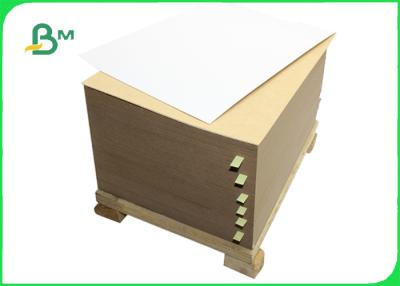 China 200gsm 250gsm Compostable Kraft Paper For Food Tray 790mm 890mm Signle Coated for sale