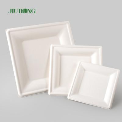 China Biodegradable Disposable Kraft Paper Plate For Party Bulk Custom Print for sale
