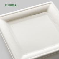 China Biodegradable Disposable Kraft Paper Plate For Party Bulk Custom Print for sale