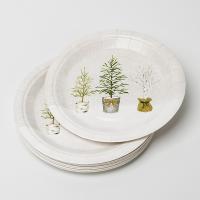 China LFGB Biodegradable Compostable Paper Plates 9 inch Eco Friendly Birthday Party Tableware Set for sale