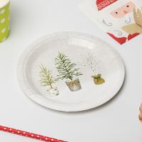 China LFGB Biodegradable Compostable Paper Plates 9 inch Eco Friendly Birthday Party Tableware Set for sale
