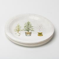 China LFGB Biodegradable Compostable Paper Plates 9 inch Eco Friendly Birthday Party Tableware Set for sale