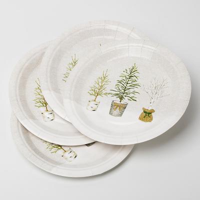 China LFGB Biodegradable Compostable Paper Plates 9 inch Eco Friendly Birthday Party Tableware Set for sale