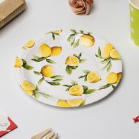 China Eco Friendly Biodegradable Paper Plates Compostable Lemon Party Supplies 9 inch for sale