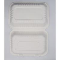 China Bagasse Sugarcane Food Container for sale