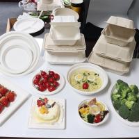 China Bagasse Sugarcane Food Container for sale