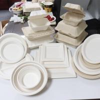 China Bagasse Sugarcane Food Container for sale