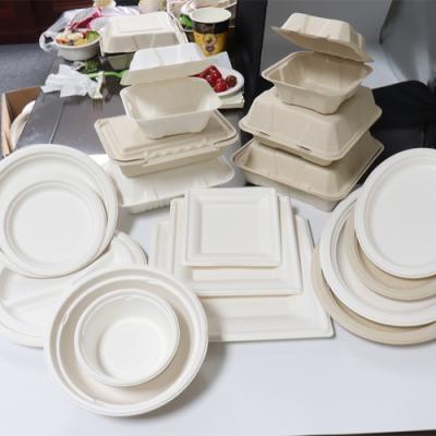 China Bagasse Sugarcane Food Container for sale
