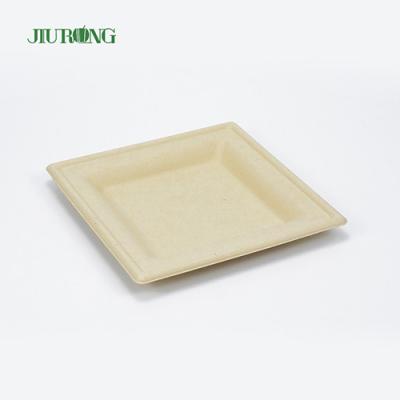 China Custom Logo Eco Friendly Disposable Sugarcane Food Container Biodegradable Bagasse Sushi Tray 10000pcs for sale