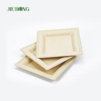 China Custom Logo Eco Friendly Disposable Sugarcane Food Container Biodegradable Bagasse Sushi Tray 10000pcs for sale