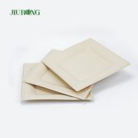 China Custom Biodegradable Sugarcane Food Container White Paper Dinner Plates 10000pcs for sale